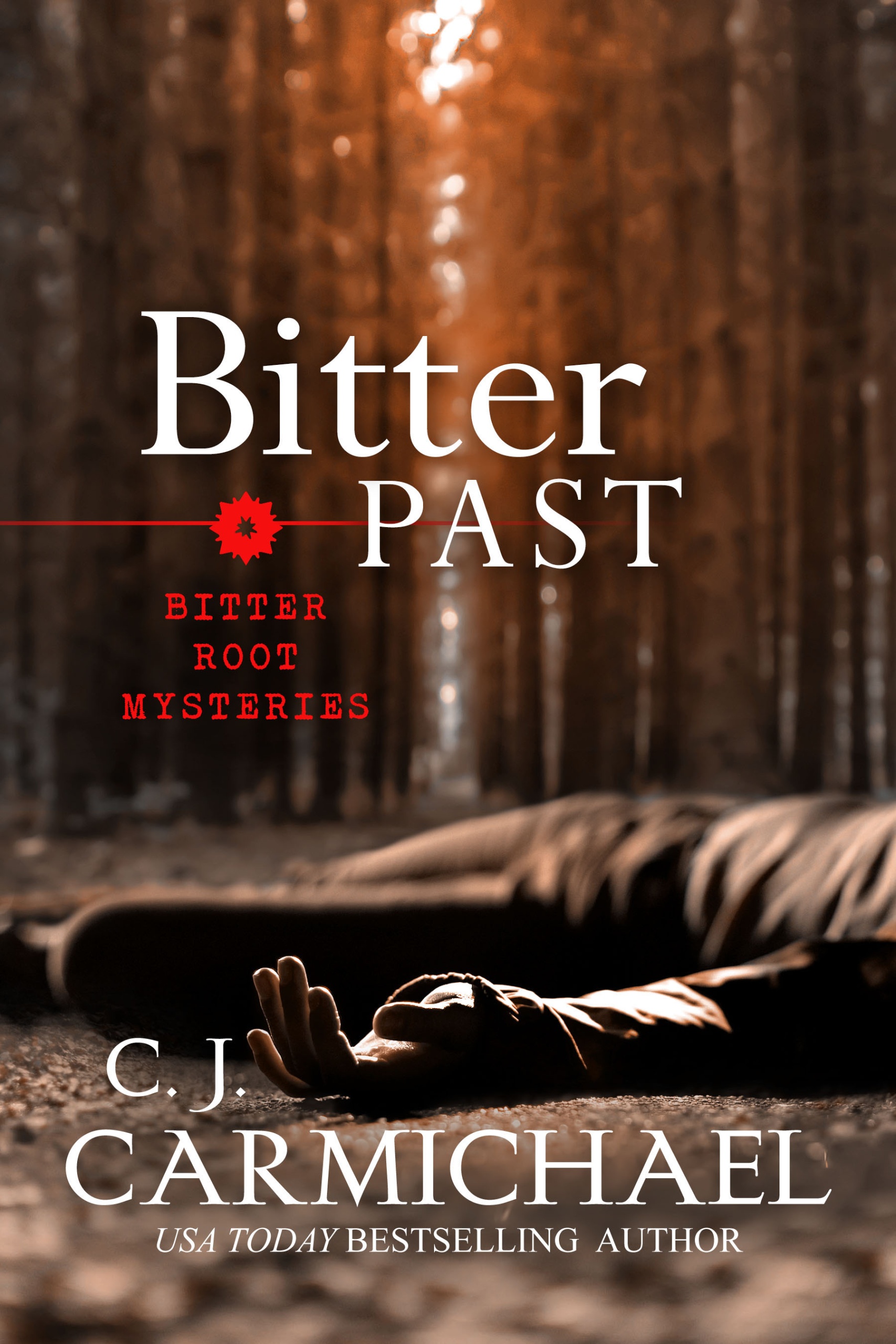 Bitter Past selected as B&N Press Top Indie Favorite eBooks Collection ...