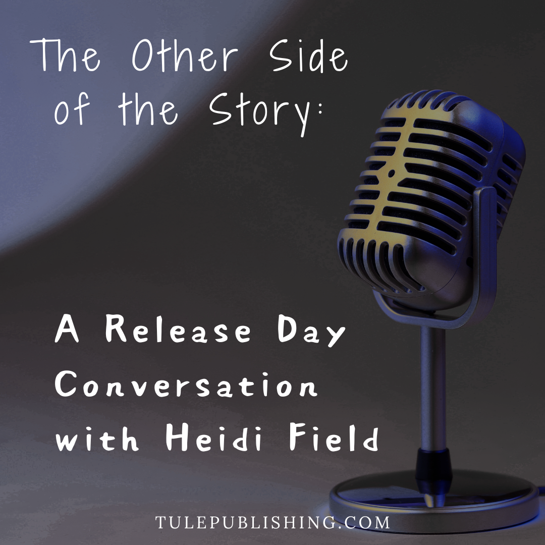 The Other Side of the Story: A Release Day Conversation with Heidi ...